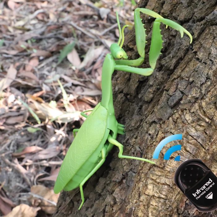 Jual Mainan Infrared insect Praying Mantis remote control serangga ...