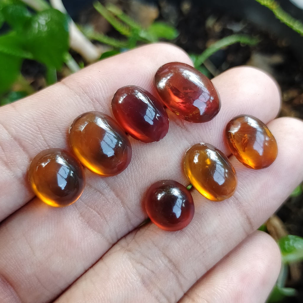 Jual batu asli getah katilayu bening natural koleksi kalimaya susu ...
