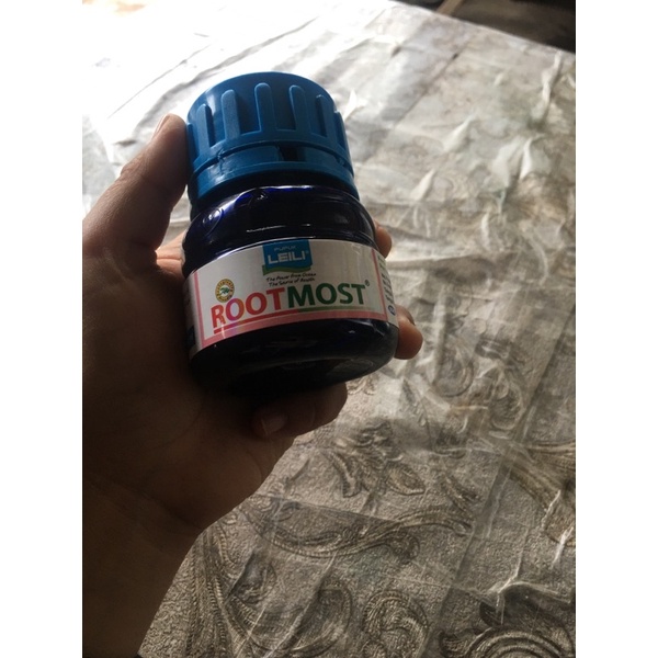 Jual perangsang akar rootmost rotmost dgw ukuran 100 ml | Shopee Indonesia