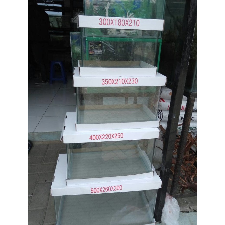 Jual Aquarium Bending (Pre Order) | Shopee Indonesia