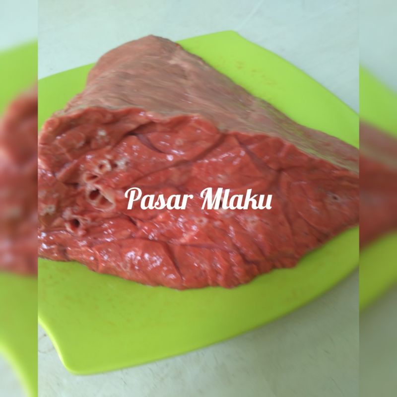 Jual PARU SAPI FROZEN 500gr | Shopee Indonesia