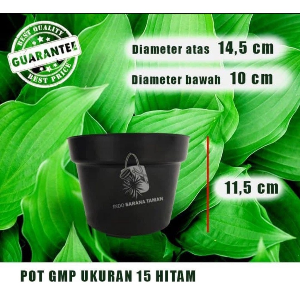 Jual POT HITAM POLOS UKURAN 15 | Pot GMP | Pot Plastik | Pot Bunga ...