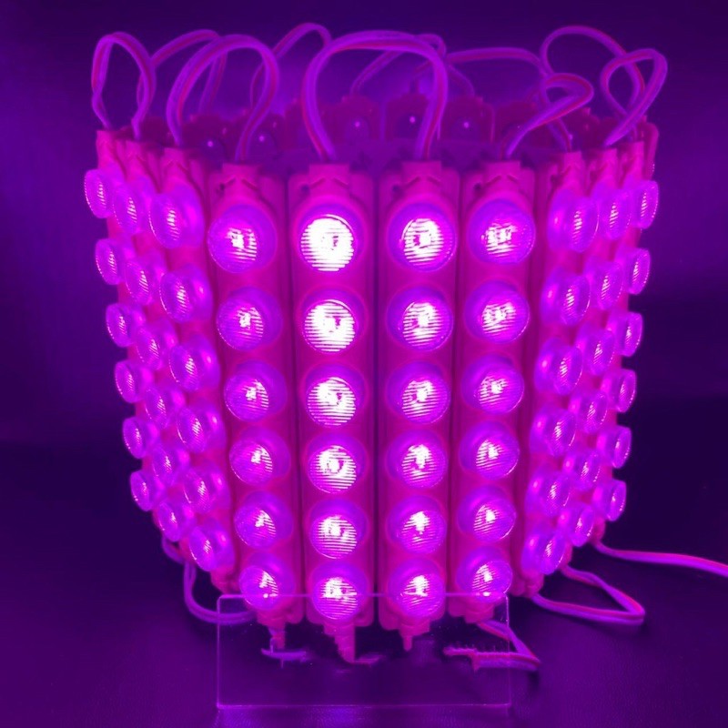 Jual LAMPU LED MODUL STRIP 6 MATA 6WATT SMD 13620 12 VOLT 24VOLT 6 MATA WATT 12V 24V WATERPROOF ...