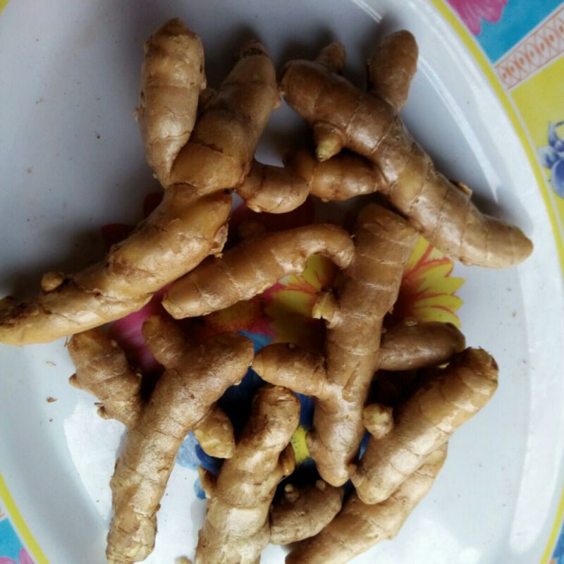 Jual Temu mangga segar /Curcuma amada (500gr) | Shopee Indonesia