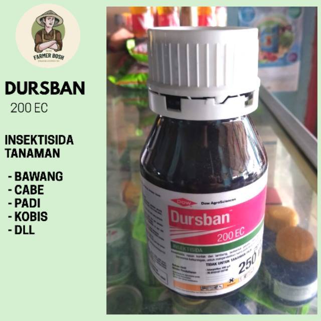 Jual INSEKTISIDA DURSBAN 200EC @ 100 ML / PESTISIDA OBAT PUPUK TANAMAN ...