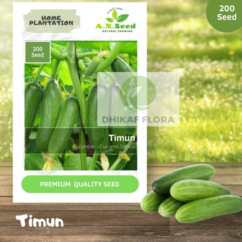 Jual Benih Bibit Timun (AX Seed) | Shopee Indonesia