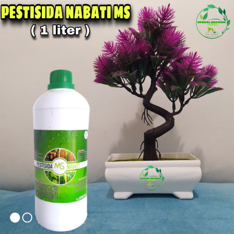 Jual pestisida nabati MS obat hama pengendali serangan hama pertama ...
