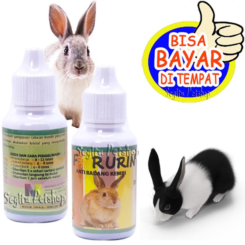 Jual OBAT KELINCI SUSAH KENCING RADANG KEMIH URINARY FOR RURIN | Shopee ...