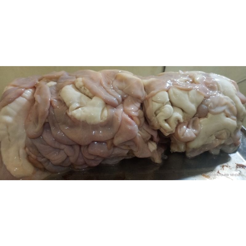 Jual usus sapi premium 1kg | Shopee Indonesia