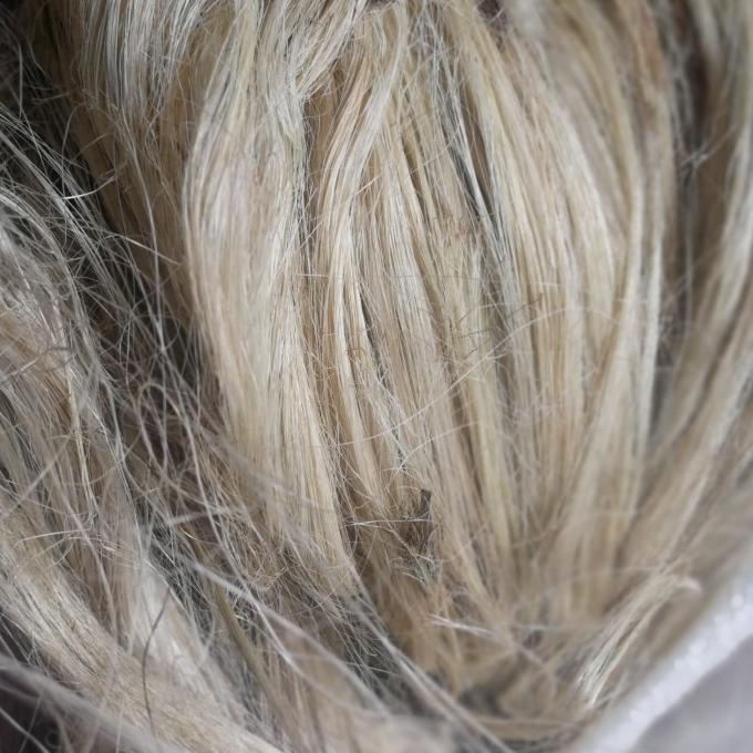 Jual SERAT ALAM RAMI SERABUT RAMI ASLI | Shopee Indonesia