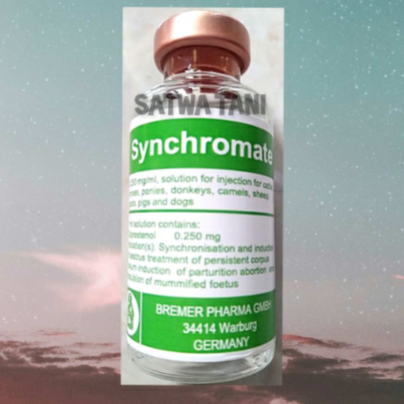 Jual Synchromate 20 ml (Sangat Irit) | Shopee Indonesia