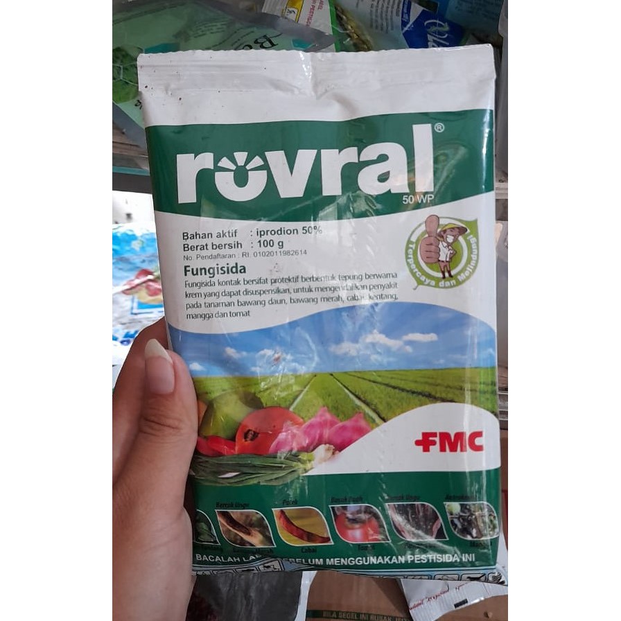 Jual Fungisida Rovral 50WP 100 gram | Shopee Indonesia