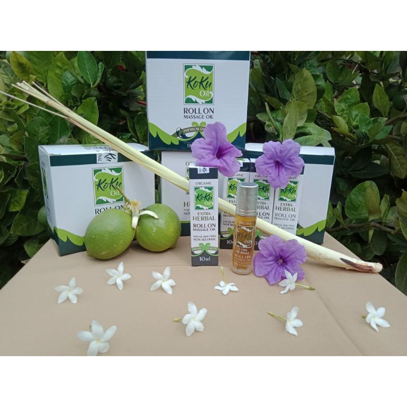 Jual KOKU OIL I Minyak herbal 1 Box isi 12 botol ukuran 10ml | Shopee ...