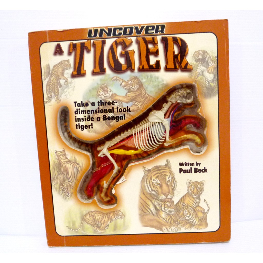 Jual Buku Uncover a Tiger Uncover Books Board book Paul Beck | Shopee ...
