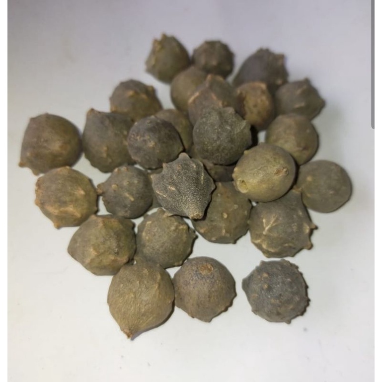 Jual [250 gram & 500 gram] Buah Manjakani / Majakani Hijau & Kuning ...