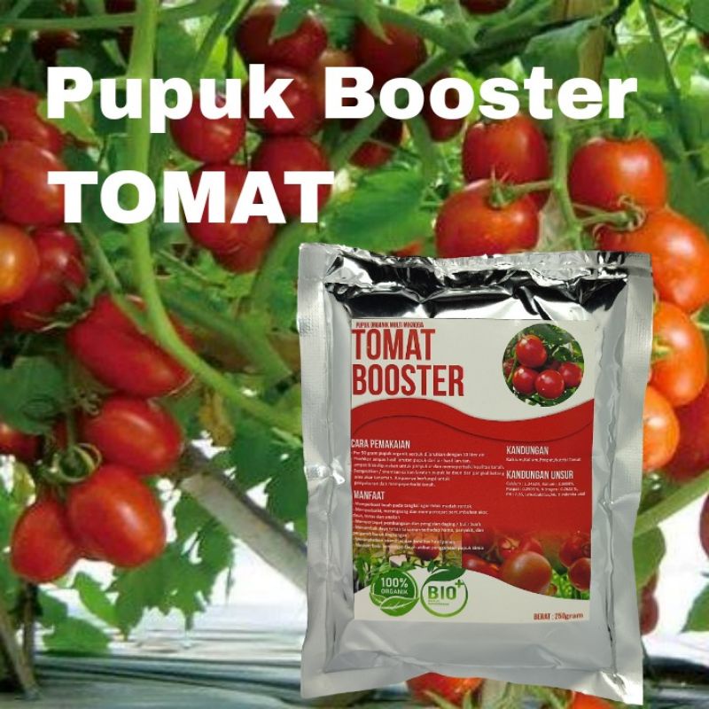 Jual Pupuk booster TOMAT _pupuk organik | Shopee Indonesia