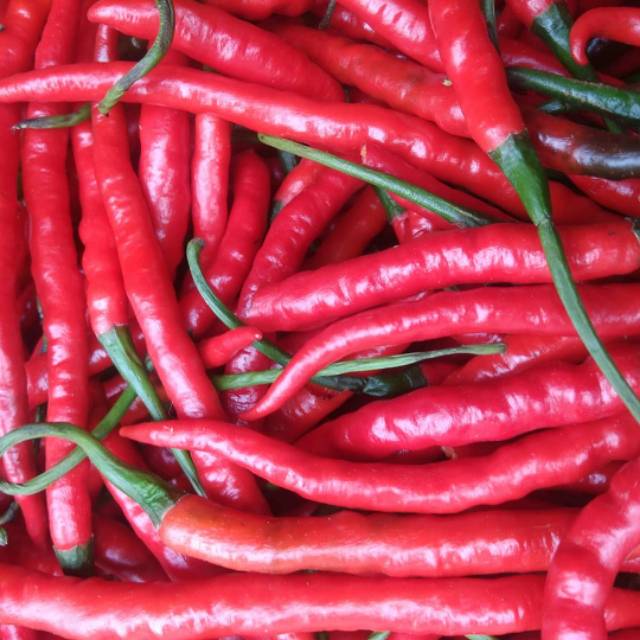 Jual Cabe merah keriting 1 kg | Shopee Indonesia