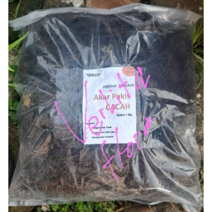 Jual Media Tanam Pakis Cacah 1kg | Shopee Indonesia