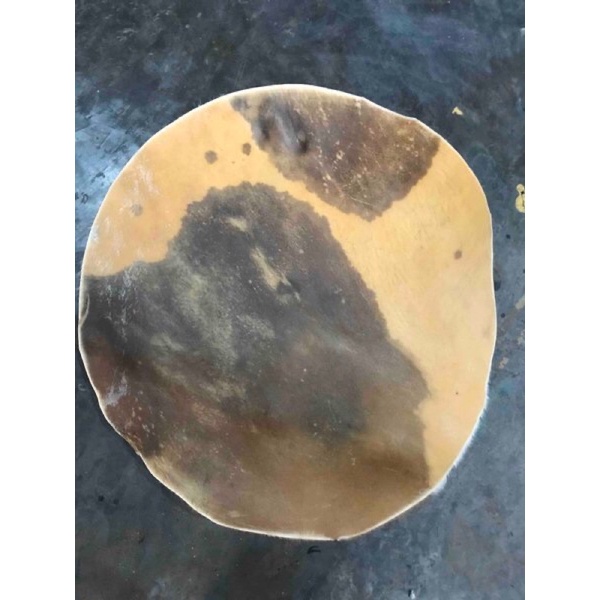 Jual Cow Skin For Percussion Bedug Conga | Shopee Indonesia