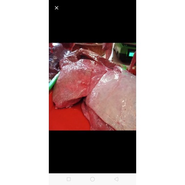 Jual paru sapi lokal dijamin fresh segar 1kg | Shopee Indonesia