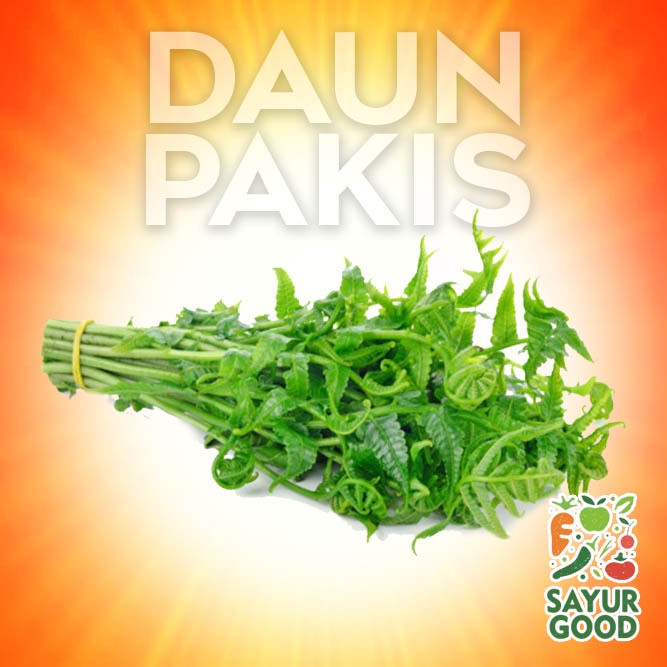 Jual Daun Pakis / Sayur Pakis / Ikat (Sayur Segar) | Shopee Indonesia