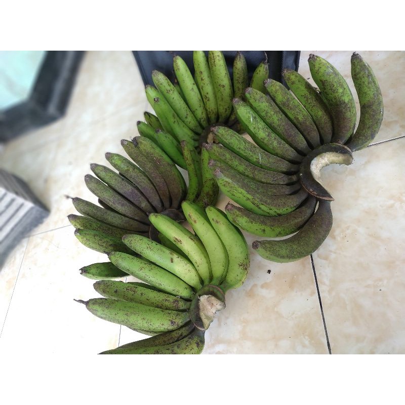 Jual PISANG KAYU/BUAH SEGAR/PISANG LUMAJANG | Shopee Indonesia