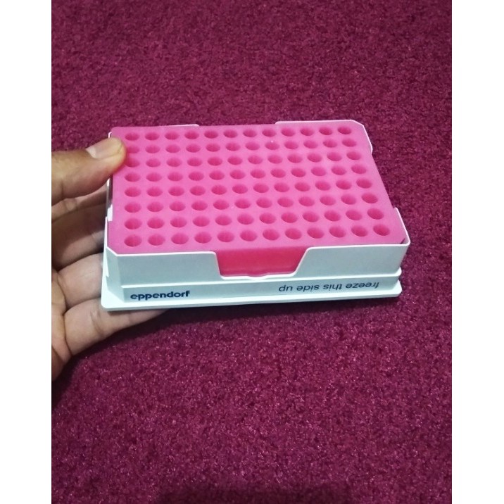 Jual PCR Cooler 0.2 Pink Eppendorf Catalog No. 3881000023 / Eppendorf ...