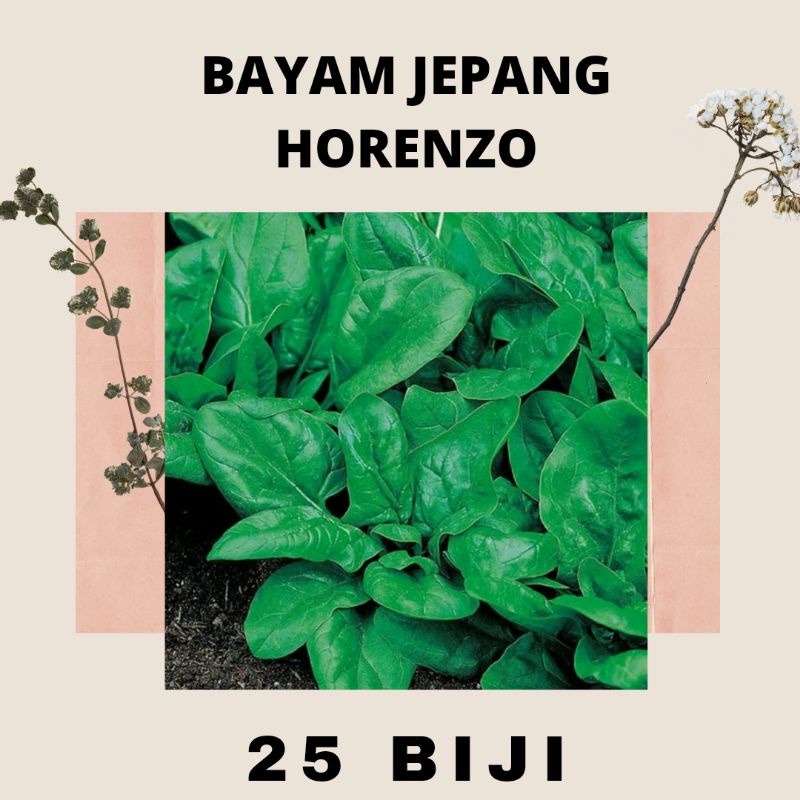 Jual benih bayam Jepang horenzo benih sayuran murah | Shopee Indonesia