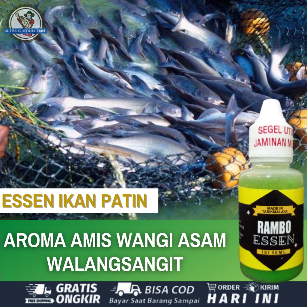 Jual RAMBO ESSEN IKAN PATIN BABON AROMA AMIS WANGI ASAM WALANGSANGIT 30 ... Jual RAMBO ESSEN IKAN PATIN BABON AROMA AMIS WANGI ASAM WALANGSANGIT 30 ...