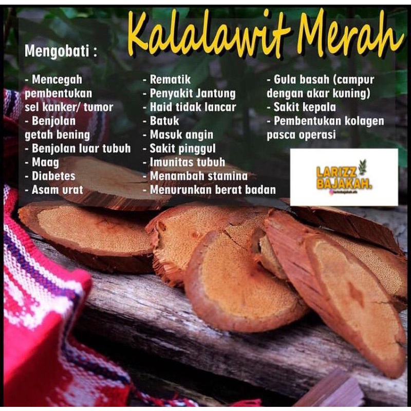 Jual AKAR BAJAKAH KALALAWIT MERAH 1 KG KAYU ORIGINAL KALIMANTAN ...