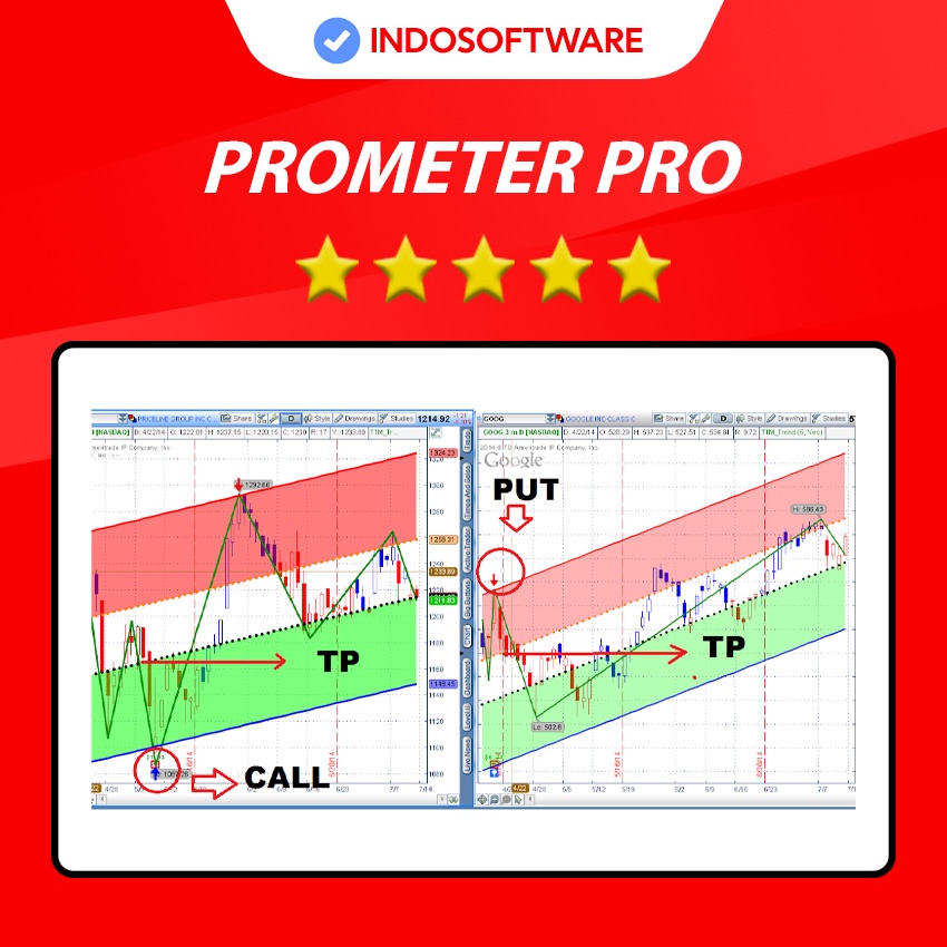 Jual PAKET PROMETER PRO METER ORIGINAL INDIKATOR PROVITS TRAINING PROFIT KONSISTEN STRATEGI ...
