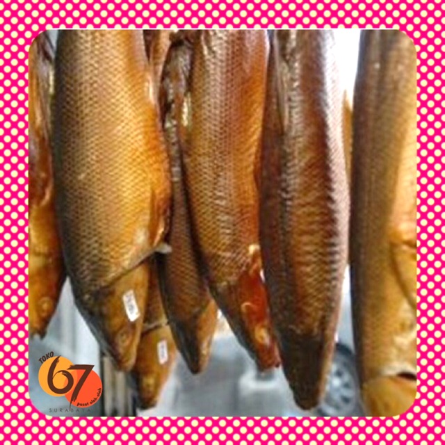 Jual Bandeng Asap Khas Sidoarjo | Shopee Indonesia