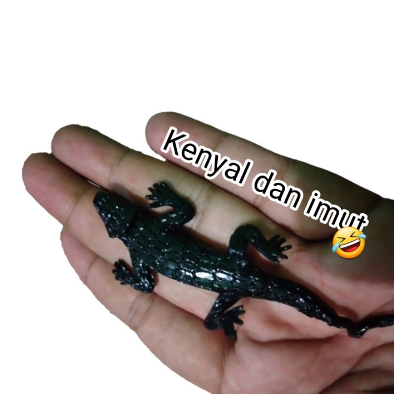 Jual MAINAN PRANK CICAK,LABA²/ STICKY CICAK DAN LABA KENYAL DAN NEMPEL ...