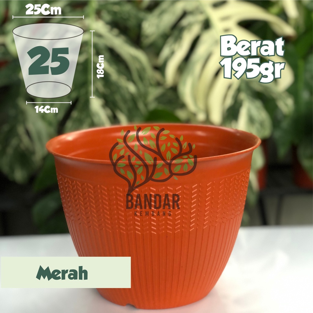 Jual CJP Padi 25 Pot Bunga Citra Jaya Motif Padi Ukuran 25Cm Bagus ...