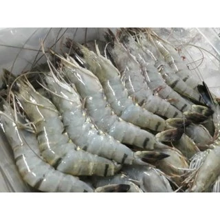 Jual Udang 1 Kg Terlengkap & Harga Terbaru April 2024 | Shopee Indonesia
