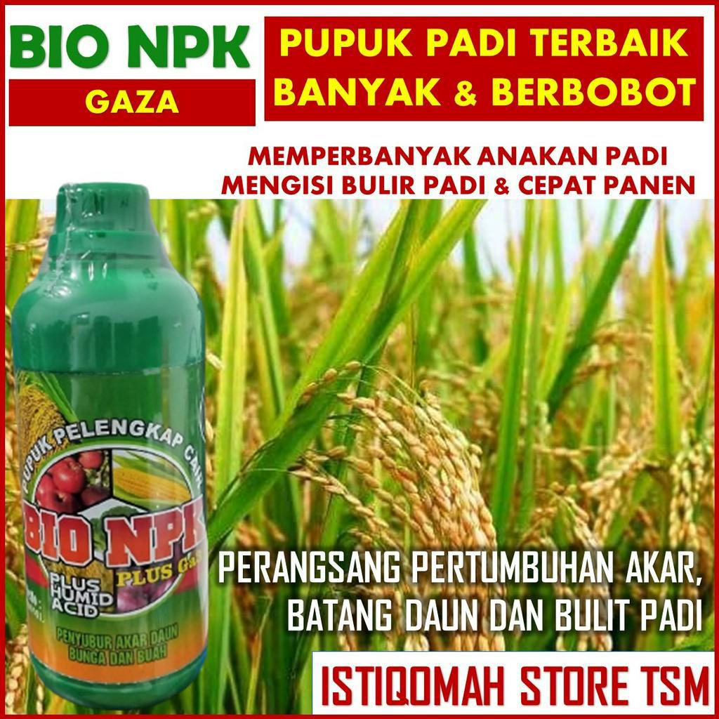 Jual Pupuk Booster Padi Murah BIO NPK GAZA 500 ML Terbaik – Pupuk Untuk Padi Agar Besar & Banyak ...