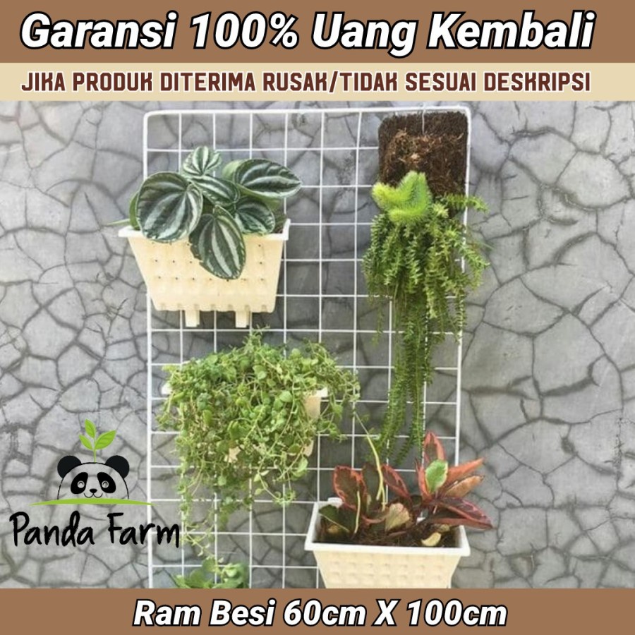 Jual RAM Besi / Rak Besi Pot Dinding 60x100 cm | Shopee Indonesia