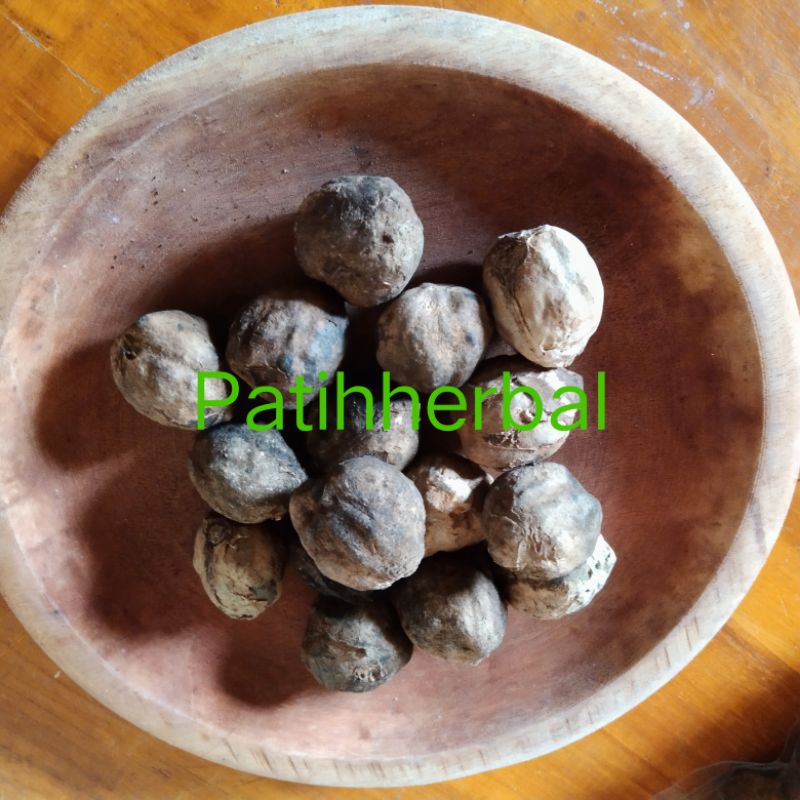 Jual Biji Buah Kemiri/Biji Buah Muncang dengan batoknya Per 55 biji ...