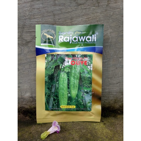 Jual Benih Pare Hibrida F1 Olive - 10 gram | Shopee Indonesia
