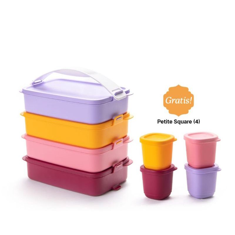 Jual CLICK TO GO RECTANGULAR SET (8pcs) | Shopee Indonesia