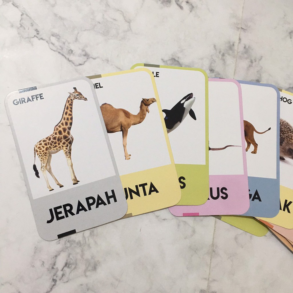 Jual Flashcard kartu pintar anak bayi mengenal warna / hewan / buah ...