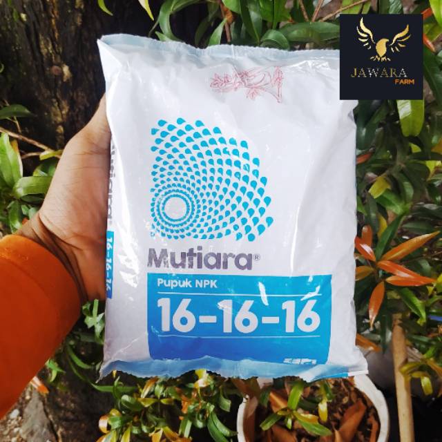 Jual Pupuk Mutiara NPK 1 Kg | Shopee Indonesia