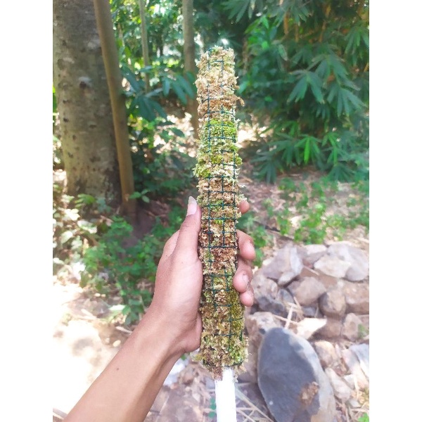 Jual Turus Lumut penyangga rambatan tanaman 40,55,75,90 dan 100cm ...