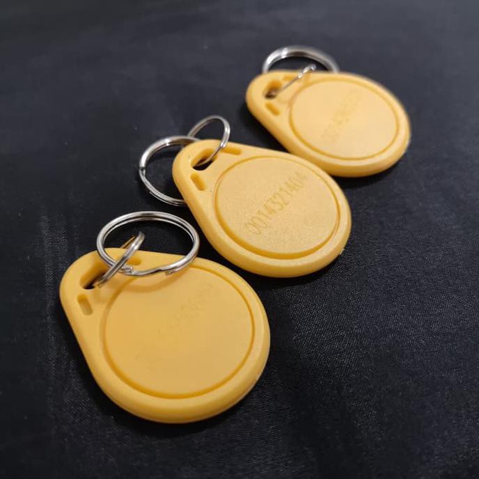 Jual Ini Key Tag Chain Rfid 125Khz Access Control Diminati Banget ...