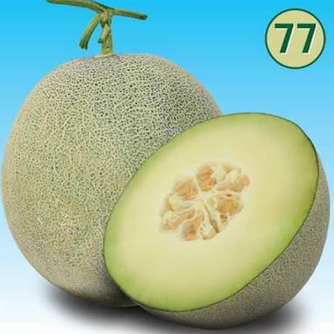 Jual Produk Terbaru Bibit/Buah/Seed Buah Melon Aramis F1 Manis Cocok Di ...