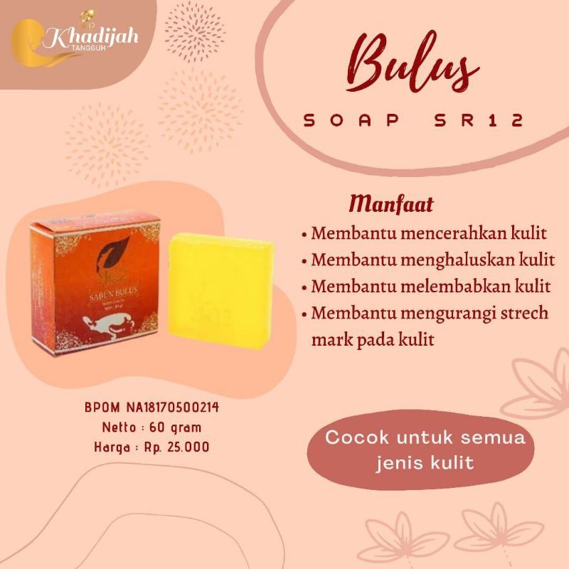 Jual BULUS SOAP SR12 Bikin Glowing (Untuk semua jenis kulit) | Shopee ...