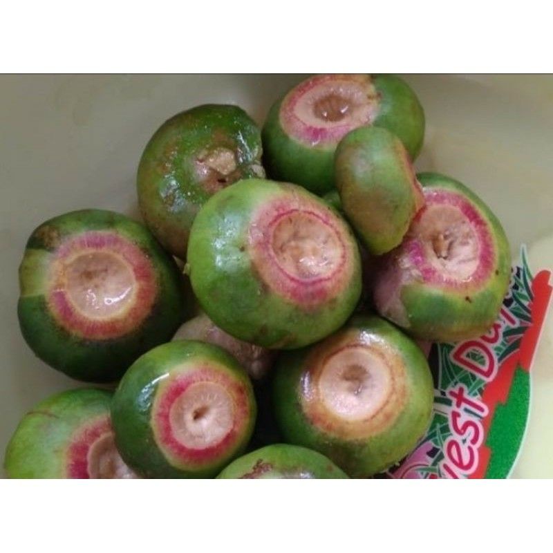 Jual BUAH PEDADA / BUAH POHON MANGRUVE / BUAH SEGAR 1KG | Shopee Indonesia