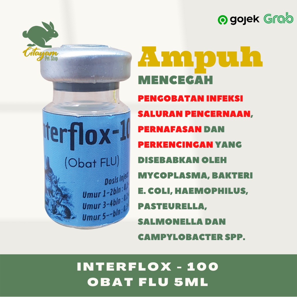 Jual INTERFLOX-100 INJEKSI 5ML OBAT FLU FREE JARUM SUNTIK | Shopee ...