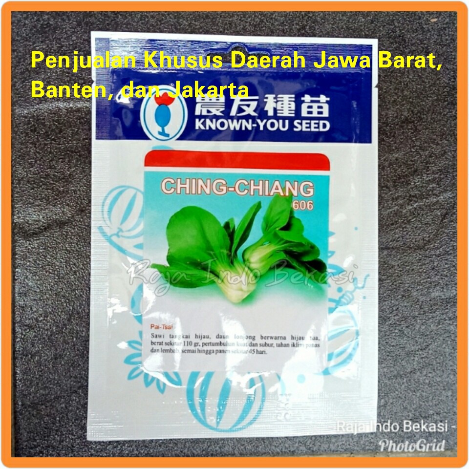 Jual Benih Bibit Pakchoy Ching Chiang Known You Seed 10 Gram Pakchoy ...
