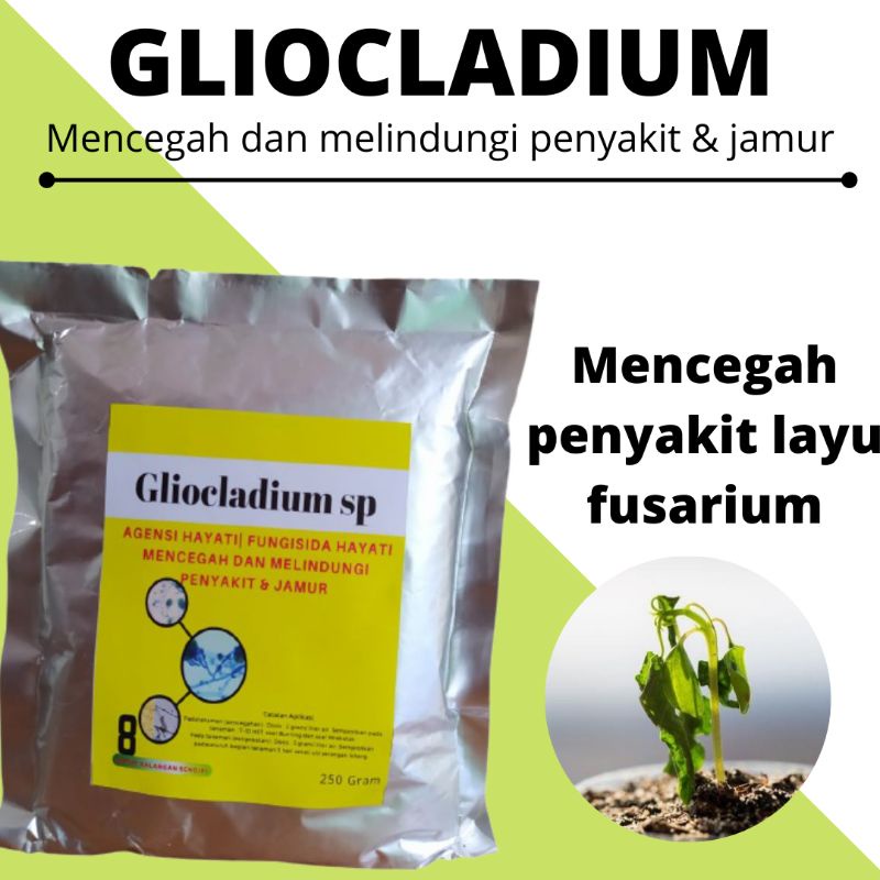 Jual Obat Gliocladium Penggerek Batang Durian, Obat Penggerek Batang ...